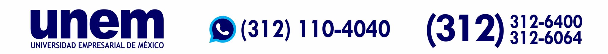 Maestría en Administración – Universidad Empresarial de México – UNEM